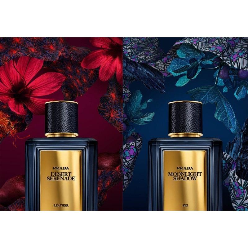 Prada Olfactories Moonlight Shadow - купить духи, цены от 13170 р. за ...