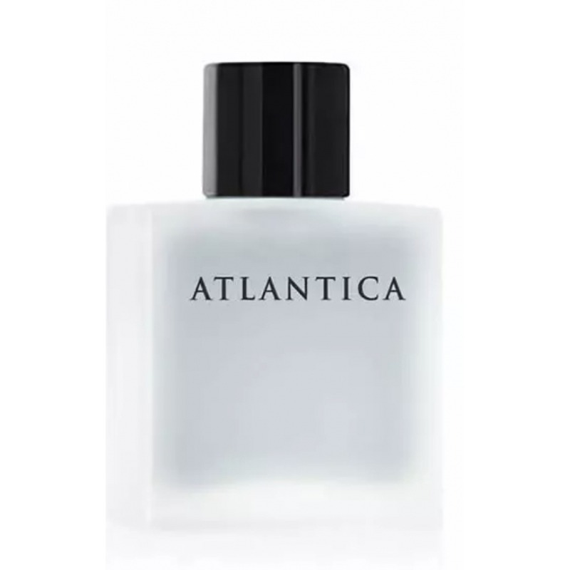 Dilis Atlantica Silver Moon - купить мужские духи, цены от 0 р.