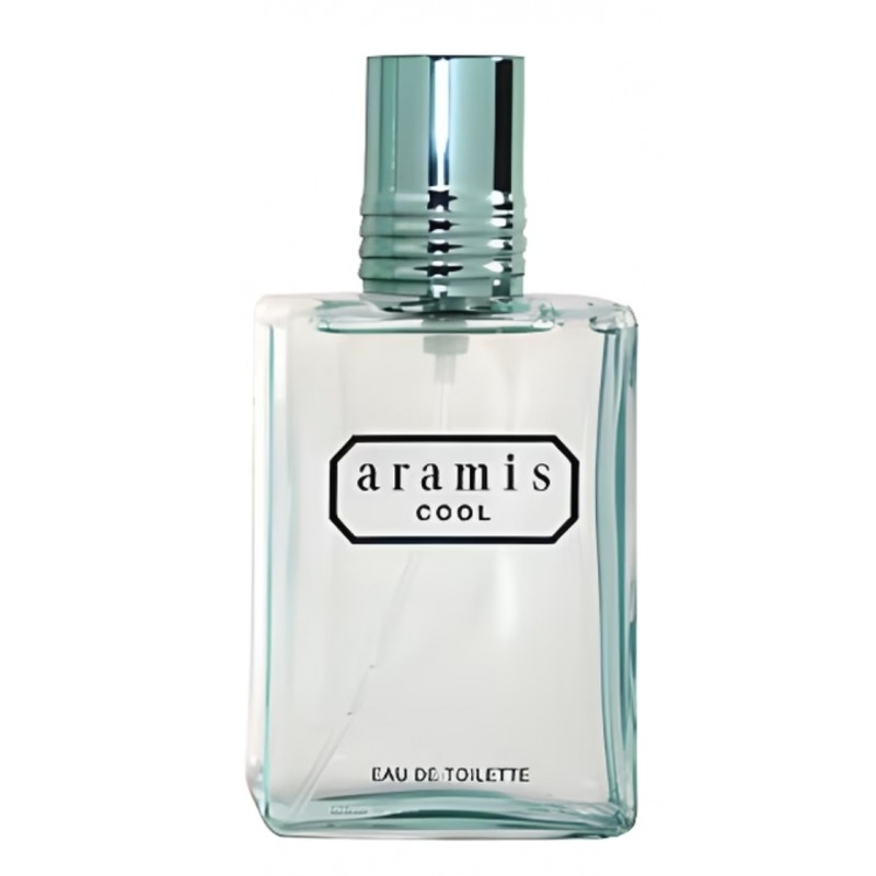 Aramis Cool - купить мужские духи, цены от 15340 р. за 100 мл