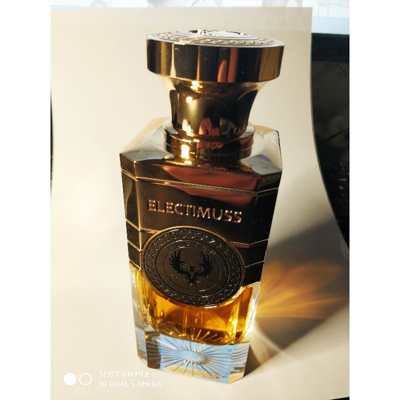 Electimuss Auster - купить духи, цены от 510 р. за 1 мл
