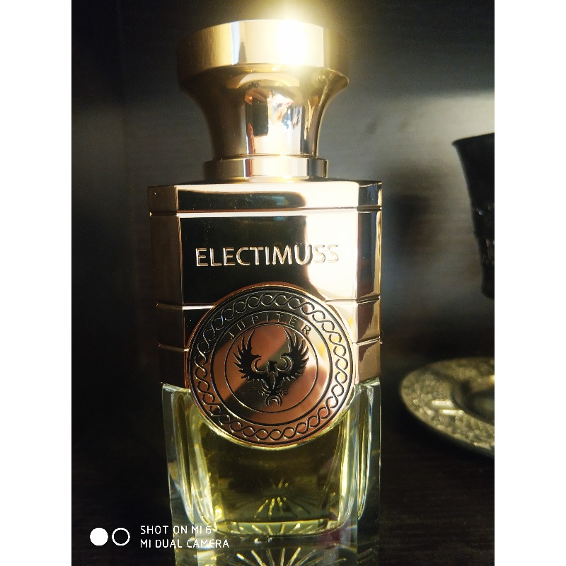 Electimuss Jupiter - купить духи, цены от 510 р. за 1 мл